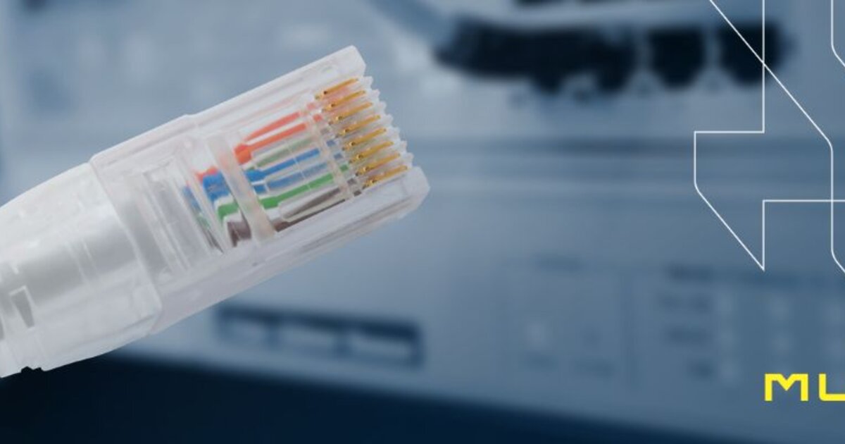 Ako vybrať LAN kábel? Tipy na správne zapojenie (blog)